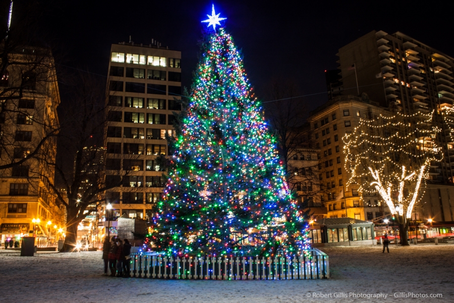 Boston - Common at Christmas | Robert Gillis New England Photography