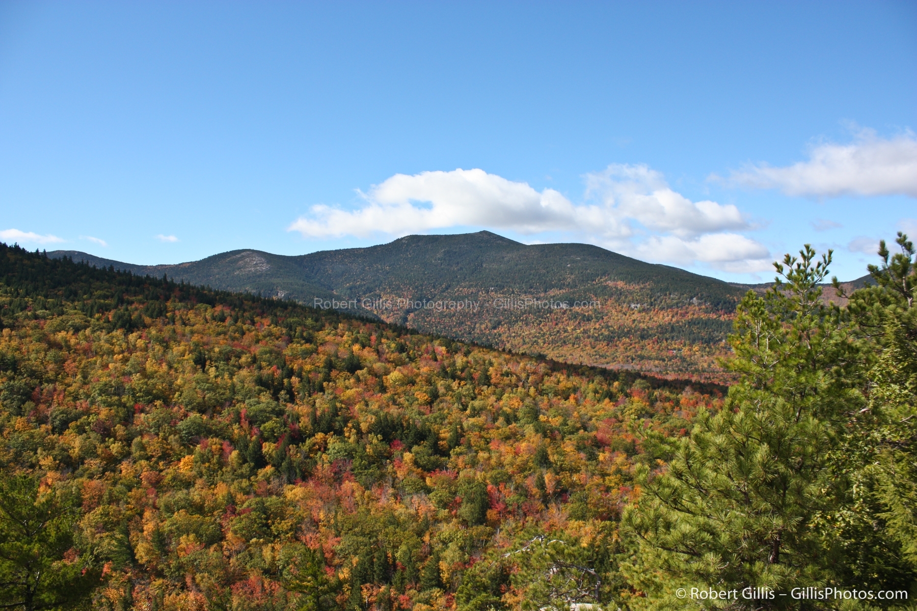 New Hampshire - Cathedral Ledge | Robert Gillis New England Photography