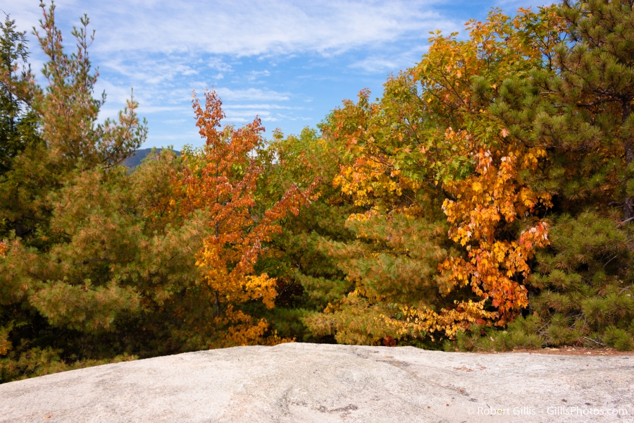 New Hampshire - Cathedral Ledge | Robert Gillis New England Photography